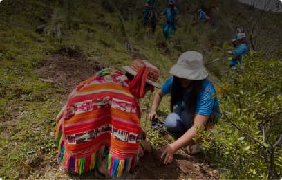 Machu Picchu and Inca Trail Expeditions by Valencia Travel Cusco