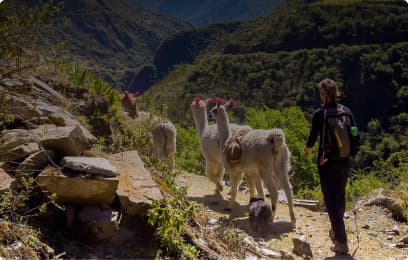 Machu Picchu and Inca Trail Expeditions by Valencia Travel Cusco