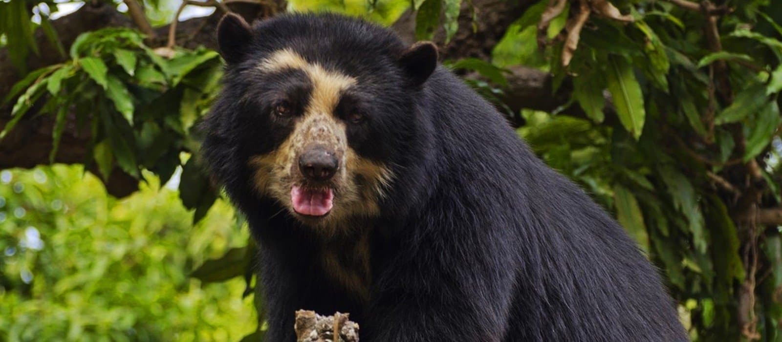 Chaparri Ecological Reserve Tour | Valencia Travel