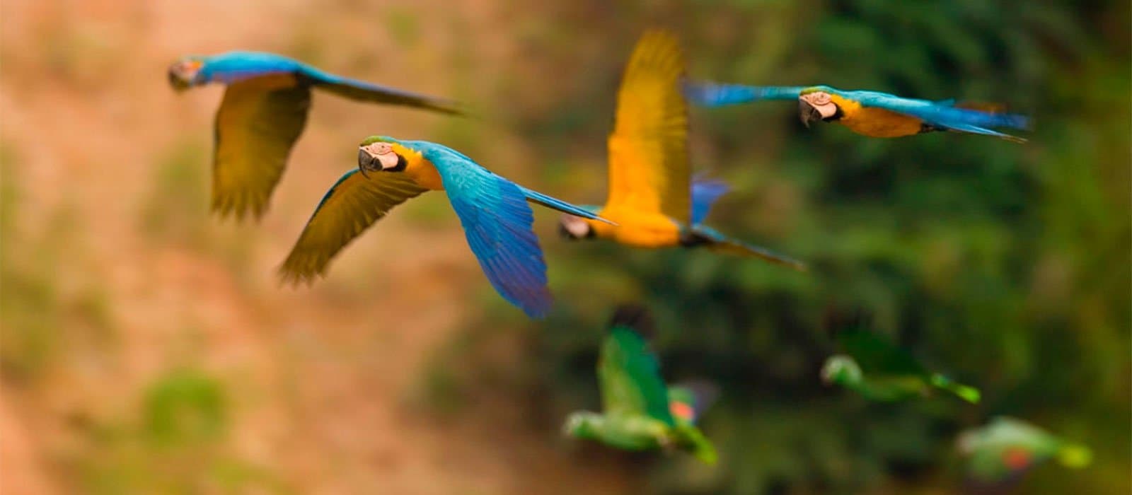 Colours of Peru Tour | 14 Days in Peru | Valencia Travel