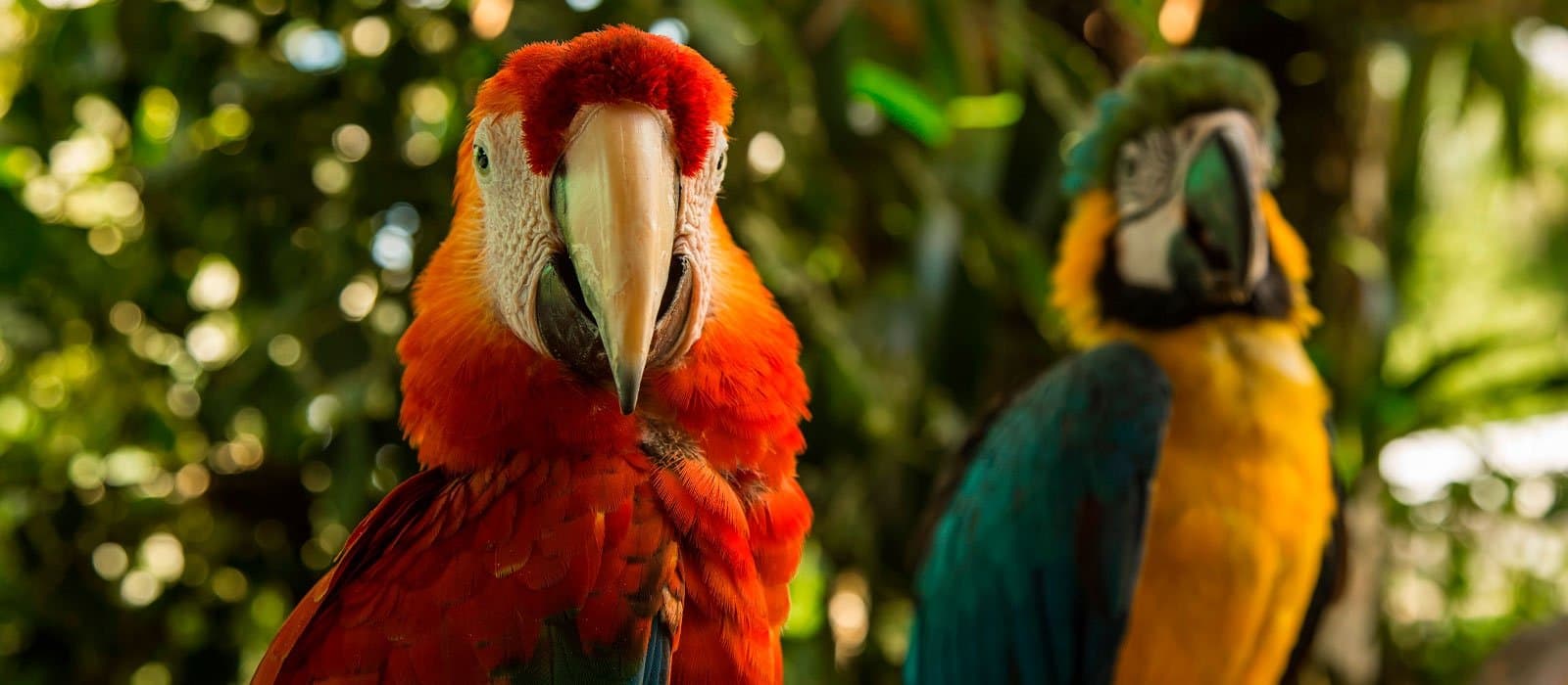 Colours of Peru Tour | 14 Days in Peru | Valencia Travel