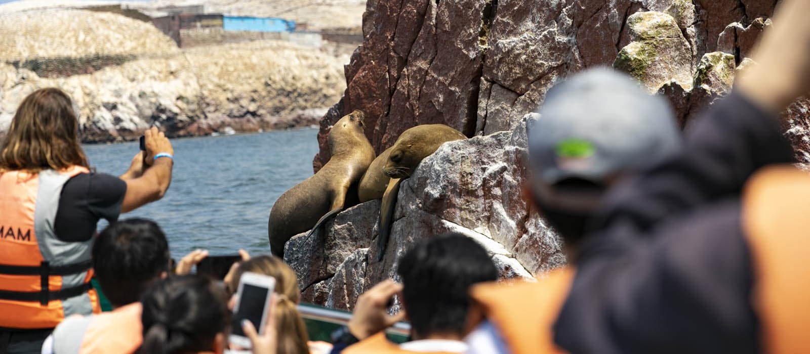 Ballestas Islands - Nazca lines | Valencia Travel